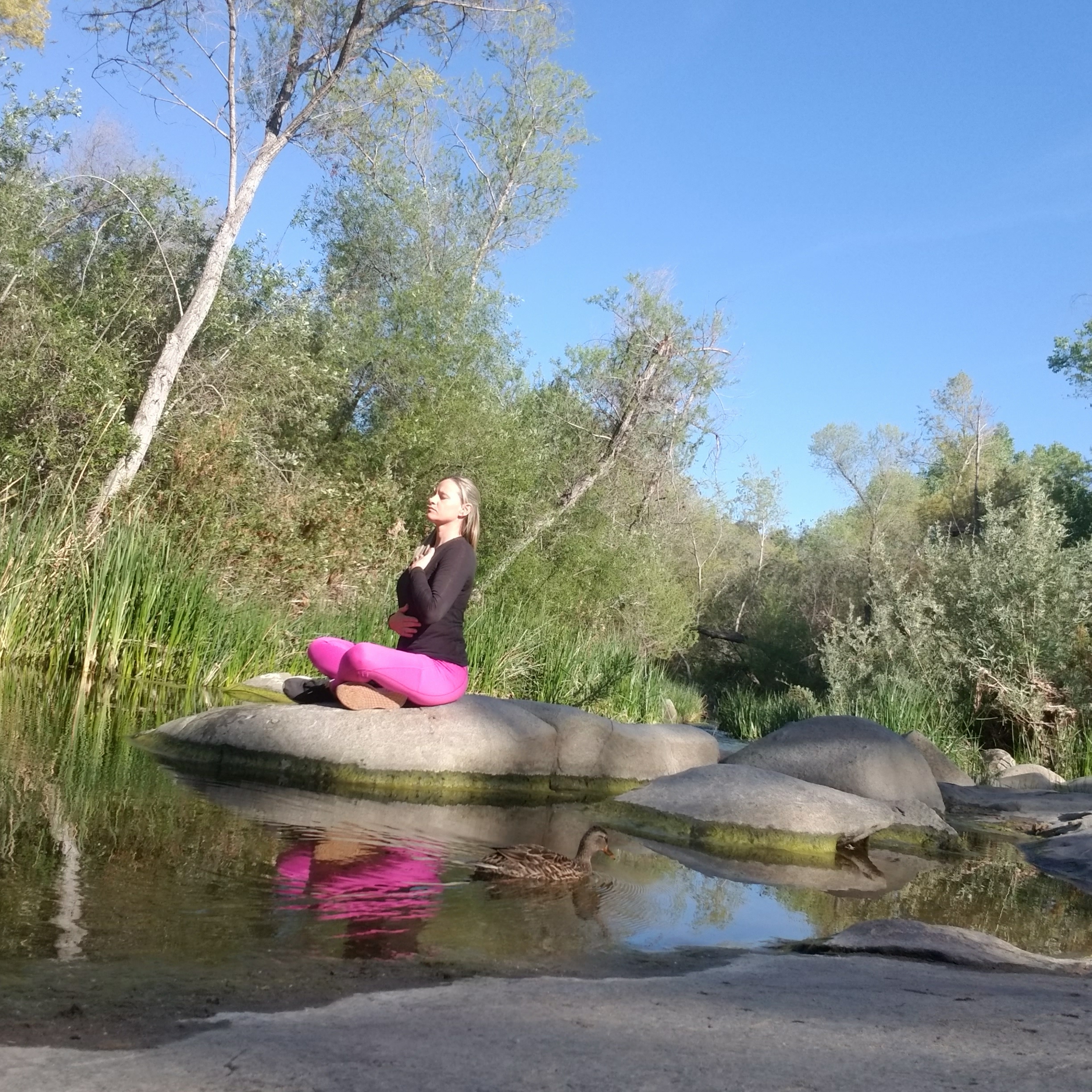 Grounded by Nature – Grounded by Nature